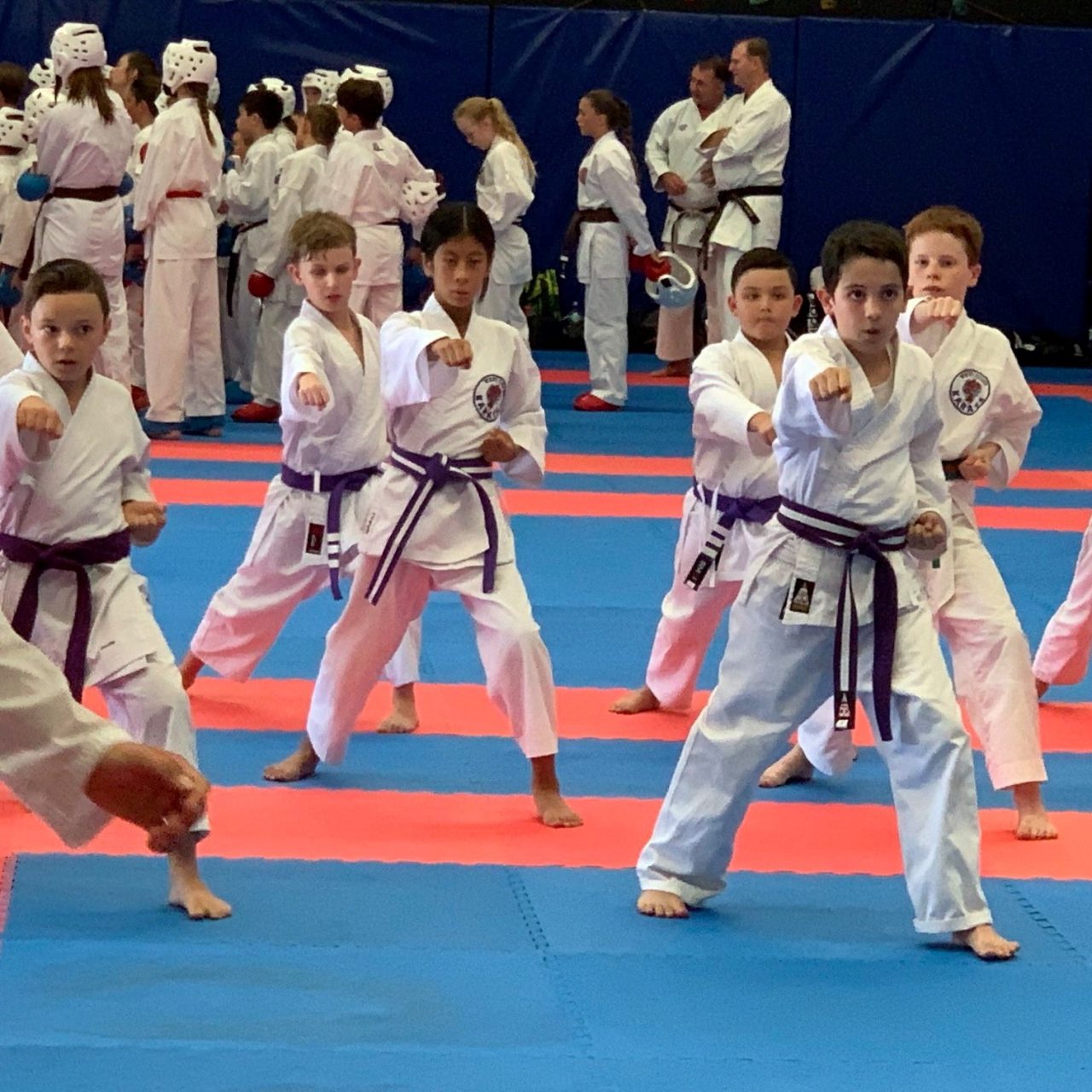 Home - WA Karate Federation